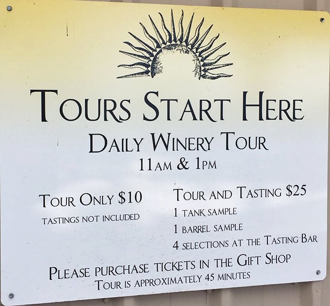 Tours depart twice daily—your backstage pass to witness the alchemy that transforms humble grapes into award-winning wines.