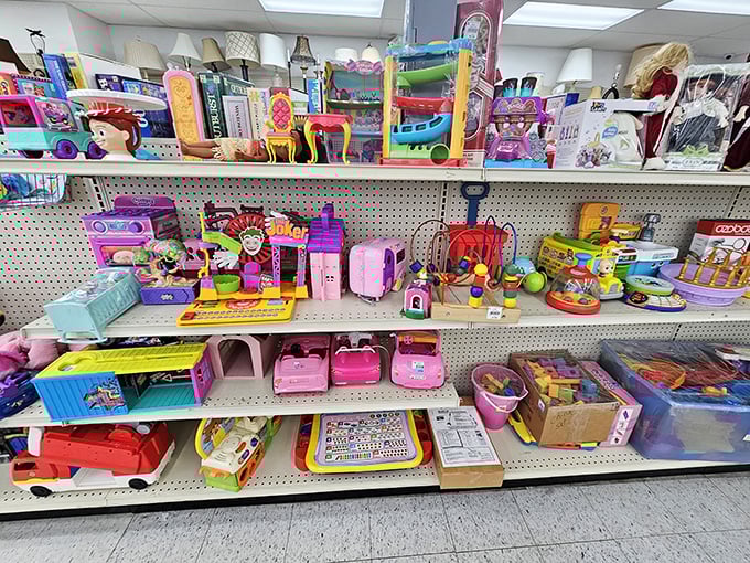 Toy paradise where childhood dreams cost pocket change instead of credit card nightmares, and nostalgia comes standard with every purchase.