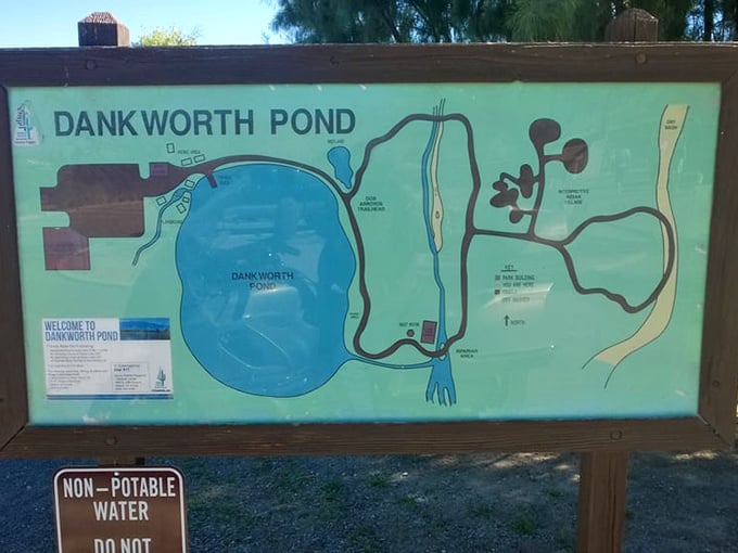 The park map doesn't just show you where to go – it reveals how this desert oasis connects ancient history with natural wonder.