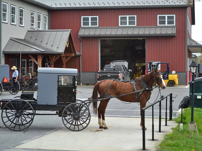 The original Amazon fulfillment center—horse-powered delivery included. This workshop serves the community with transportation solutions that never need software updates.