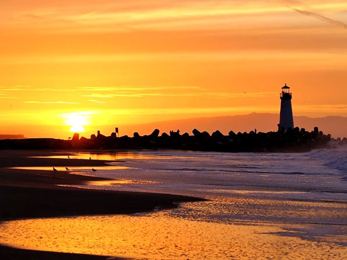 Golden hour transforms the lighthouse into something Van Gogh would've traded his other ear to paint on canvas properly.