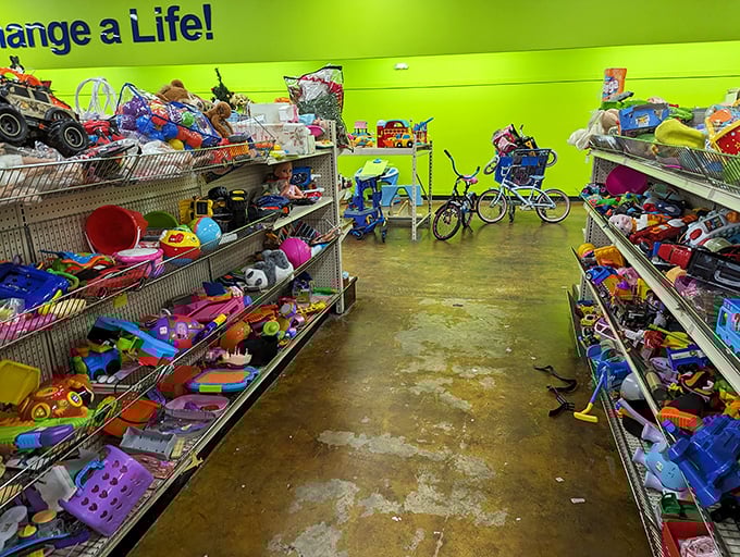 Toy aisle treasure hunt—where plastic dinosaurs and forgotten action figures await adoption by the next generation of imaginative minds.