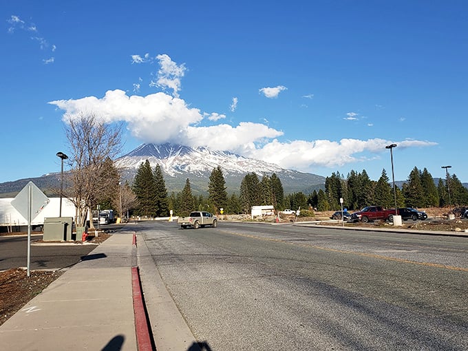 Mount Shasta doesn't just dominate the skyline—it owns it. That's not a mountain, that's nature's exclamation point on an already perfect landscape.