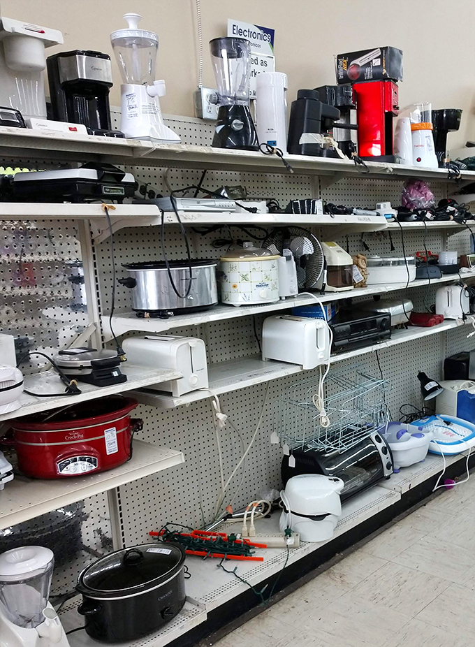 The small appliance section – where coffee makers, blenders, and slow cookers get their second act. Kitchen dreams at fraction-of-retail prices.
