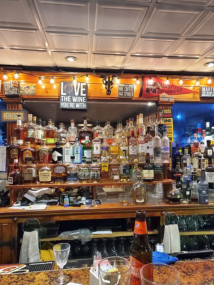 A bar stocked so thoroughly it looks like the alcohol version of Noah's Ark—two of everything worth drinking, lined up and ready for service.