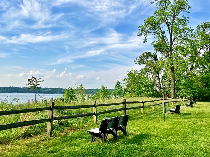 These benches offer front-row seats to nature's continuous performance—no tickets required, standing ovations always welcome.