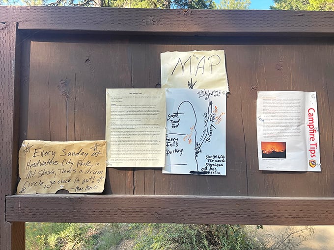 The trailhead's information board – less high-tech than your smartphone but infinitely more reliable in these woods.