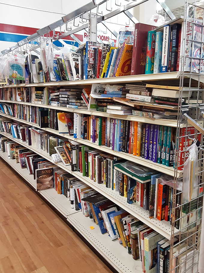Bookworms rejoice! Literary treasures stack floor to ceiling – bestsellers and forgotten gems at prices Kindle can't match.