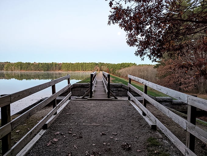 This weathered wooden bridge invites contemplation—a perfect spot for those "should I change careers?" moments we all occasionally need.