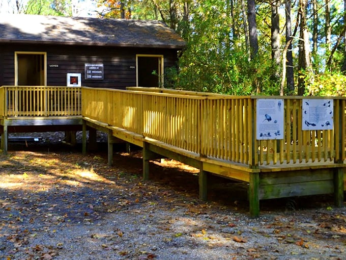 The rustic visitor center welcomes explorers with information and shelter—think of it as your basecamp for Chesapeake Bay adventures.