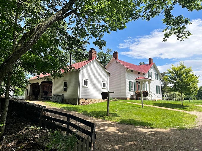 The farmhouse stands as a testament to practical beauty—no open concept needed when your concept is simply "home."