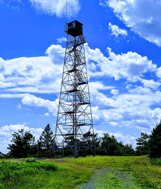 This fire tower stands like a sentinel from another era. Climb up for panoramic views that'll make your smartphone camera feel wholly inadequate.