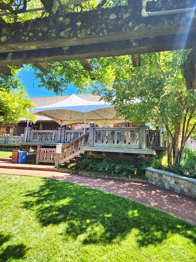 Dappled shade creates nature's air conditioning on the deck – where "outdoor seating" feels more like "vineyard-adjacent throne room."