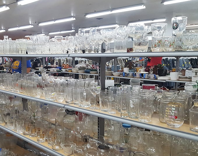 Glassware for days—from everyday tumblers to fancy crystal that makes even tap water feel like a special occasion.