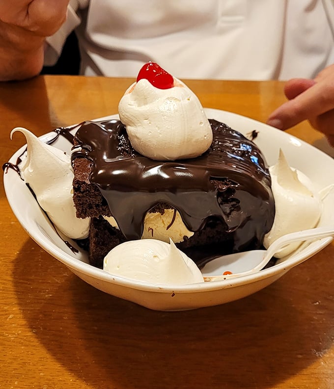 This isn't just dessert—it's a chocolate monument with whipped cream pillars. Worth every calorie and the extra mile on tomorrow's walk.