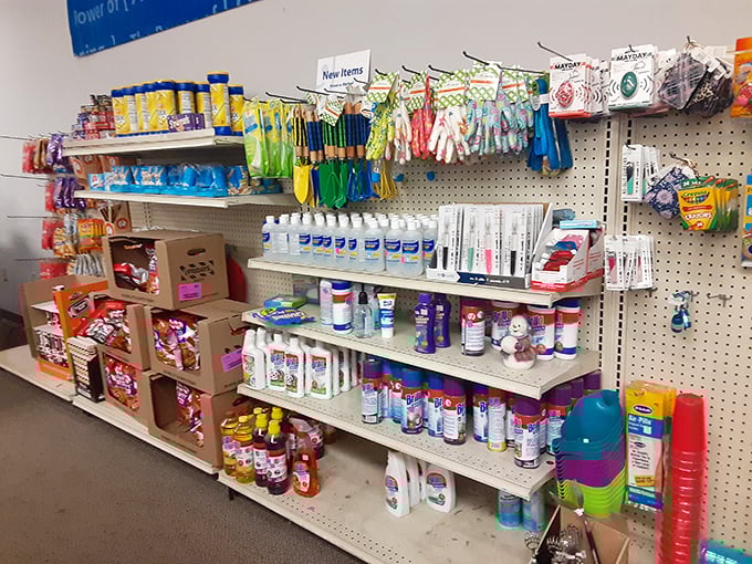 The household supplies section offers everything from cleaning products to craft supplies—because someone's abandoned project is your new weekend plan.