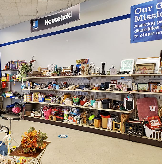 Under the "Household" sign lies a bazaar of domestic possibilities—each shelf a new opportunity for unexpected charm.