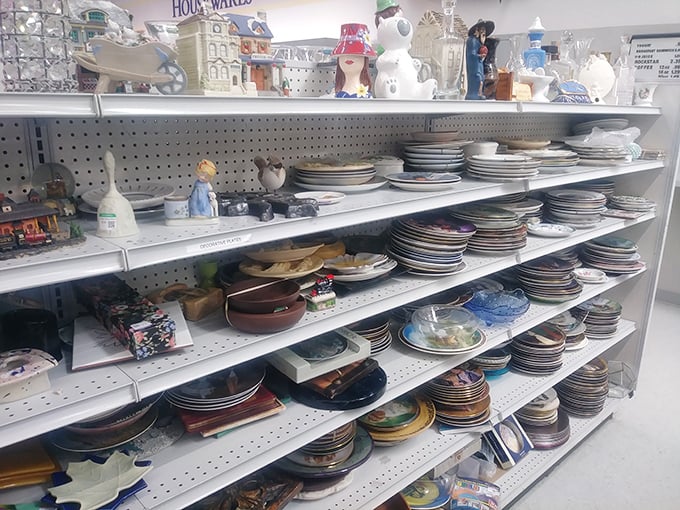 Plates upon plates upon plates—because mismatched tableware isn't a mistake, it's a design choice that costs pennies on the dollar.