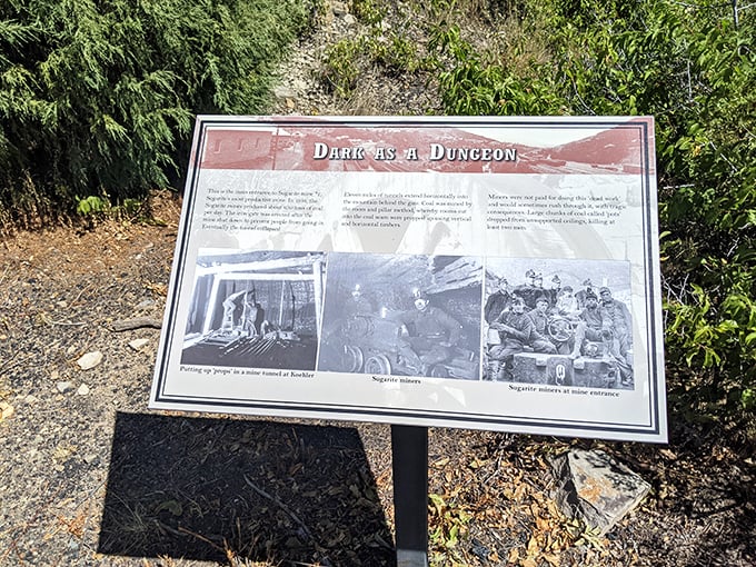 "Dark as a Dungeon" isn't just an old mining song—it was reality for Sugarite's coal miners. History preserved in black and white.