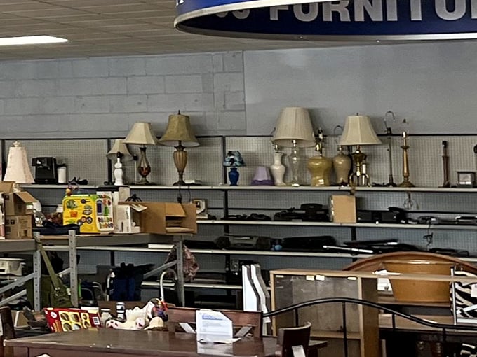 The lamp section: where 1970s brass meets contemporary chic in a showdown of illumination possibilities. That's a bright idea!