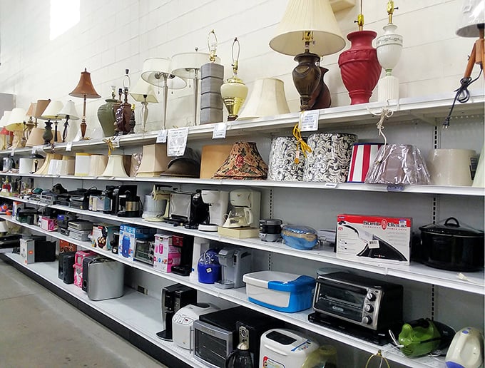 Lamp row: where lighting fixtures of every era gather like contestants in a beauty pageant of illumination.