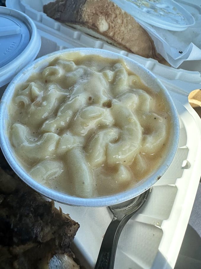 Mac and cheese so creamy it should be illegal, nestled beside what appears to be Texas toast—carb heaven has never looked so inviting.