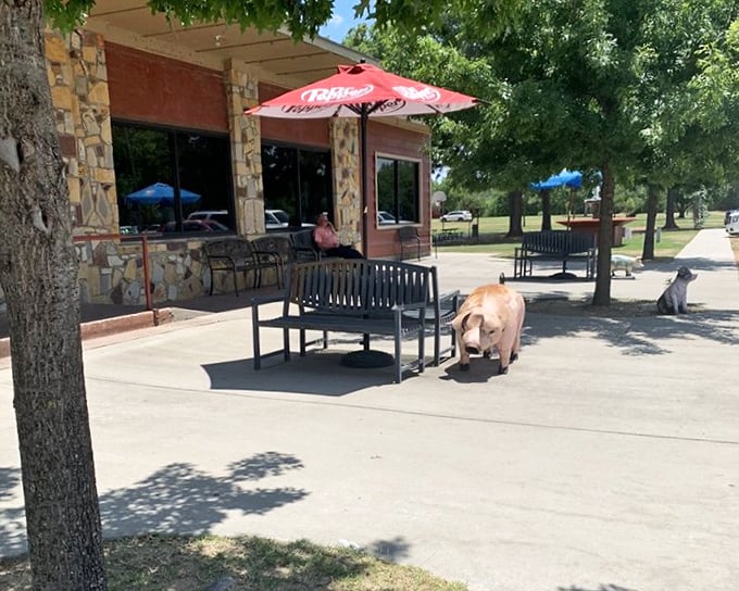 Even the outdoor seating has that "come as you are" Oklahoma charm – where dogs, humans, and barbecue sauce stains are all equally welcome.