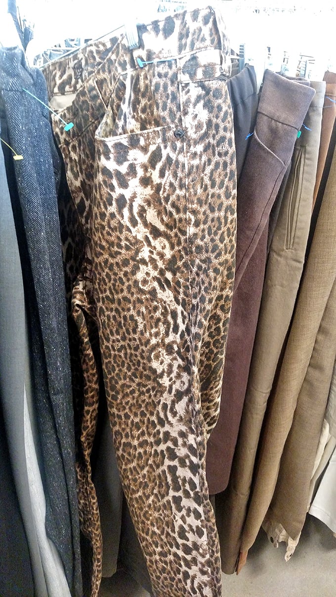 Leopard print pants hanging among sensible slacks—proof that at Goodwill, fashion democracy means wild statement pieces live alongside practical classics.