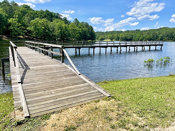 This fishing pier stretches toward possibility – where patience isn't just a virtue, it's the price of admission for nature's greatest show.