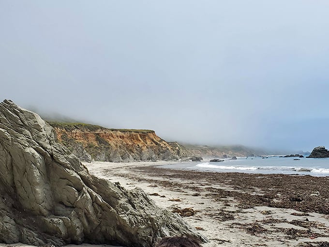 Yellow wildflowers standing guard over the coastline like nature's own velvet rope—VIP access to views that no admission price could match.
