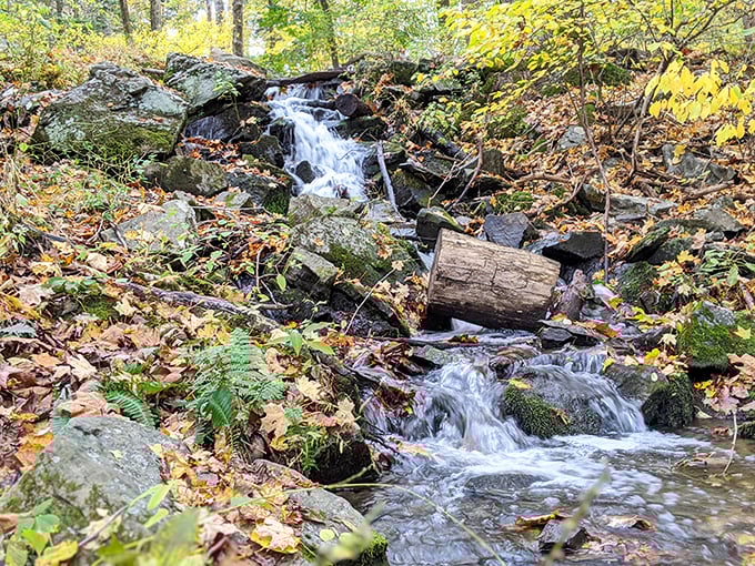 Nature's spa treatment in progress. This miniature waterfall has been polishing the same rocks for centuries—talk about dedication!