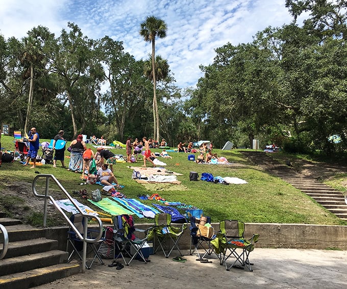 The grassy shoreline transforms into Florida's most democratic beach club, where everyone gets a VIP spot.