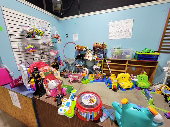 The toy section: where childhood memories are stacked floor to ceiling, and parents silently pray their kids don't spot that noisy drum set.