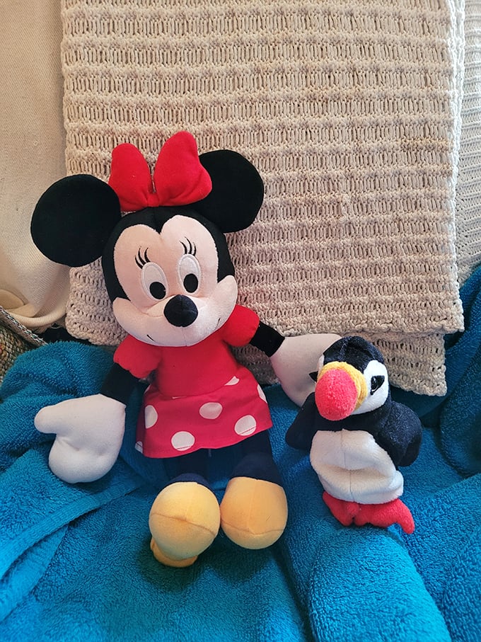 Minnie Mouse awaits her forever home! One shopper's decluttering decision becomes another child's treasured companion – the circle of thrift life.