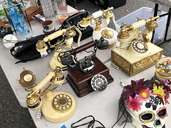 Rotary phones that remember when busy signals were real and conversations couldn't follow you everywhere.