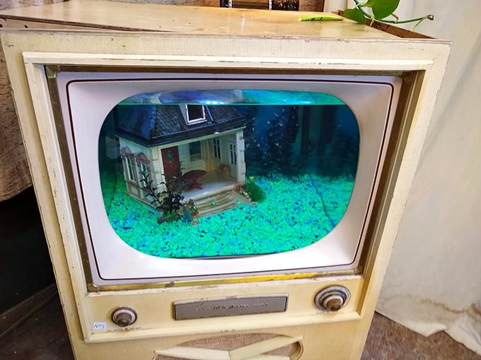 The ultimate conversation piece—a vintage television repurposed as art. Remember when we had only three channels and still found something to watch?