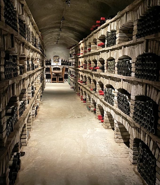 Not your average wine cellar—this underground labyrinth of bottles could survive both zombie apocalypse and unexpected in-laws.