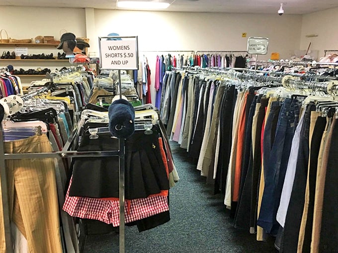 Women's clothing organized with military precision—unlike the chaotic closet you've been meaning to clean out since last spring.