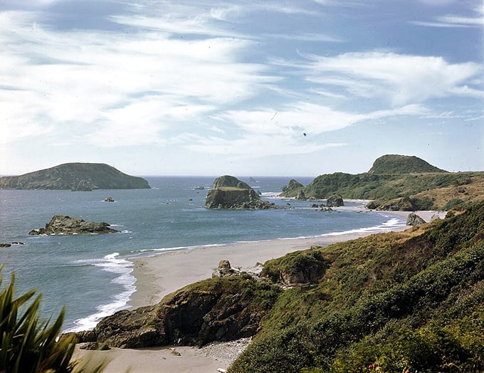 Where Oregon's coastline gets wild and wonderful. Those rocks have stories to tell, I guarantee it.