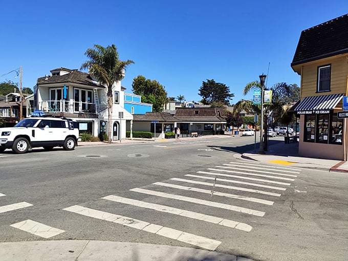 The historic Capitola diner promises comfort food with a side of nostalgia. Where breakfast conversations have solved world problems since 1948.