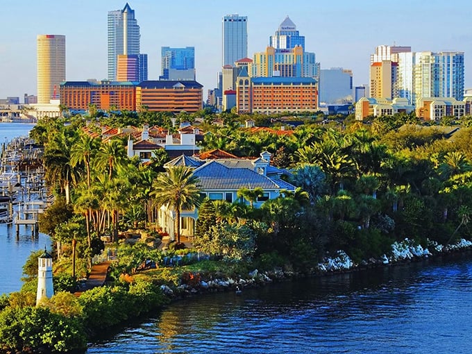 Oldsmar: Where Tampa Bay's hustle meets small-town muscle. Big city convenience without the big city price tag.
