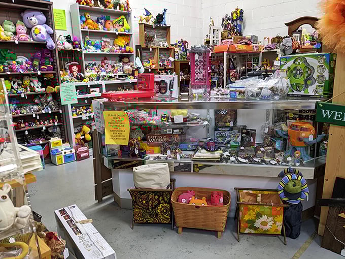 Colorful toy displays and vintage treasures create a nostalgic wonderland for collectors of all ages.