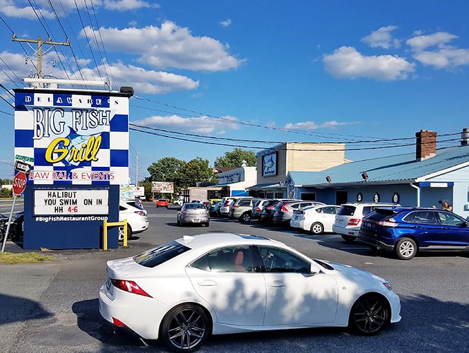 Sometimes the busiest parking lots tell the most honest stories about where exceptional food really lives.