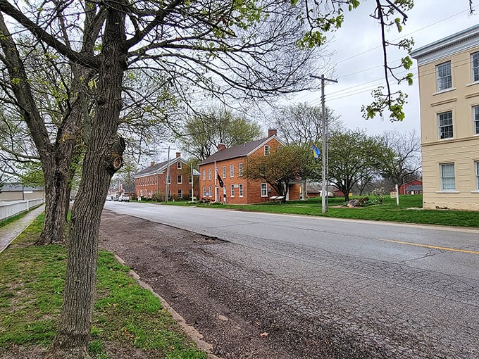 Where trees frame history's stage! Bishop Hill's quiet thoroughfare showcases architectural treasures like museum pieces you're allowed to touch.