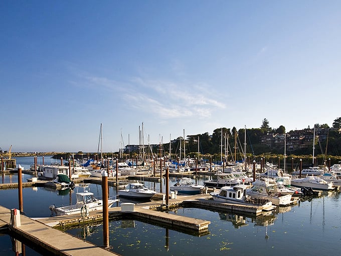 Marina life at its finest – where every boat has a tale and every sunset's a masterpiece.
