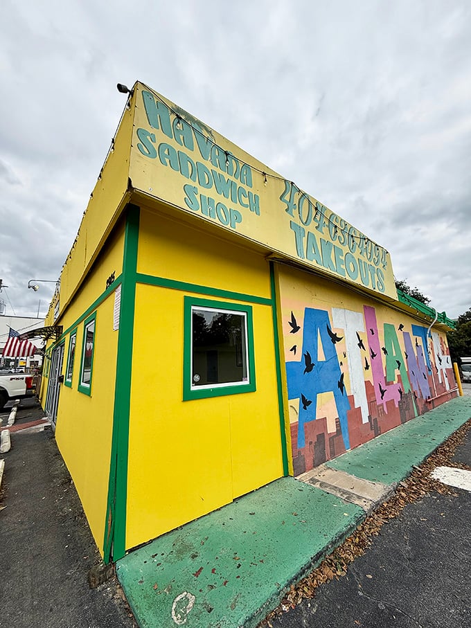 Palm fronds and bright colors make Havana Sandwich Shop a Buford Highway landmark. That Cuban sandwich press has been working overtime creating crispy, melty magic.