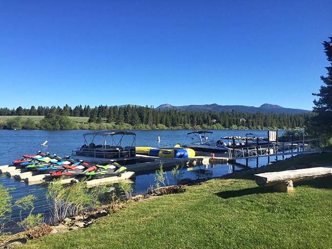 Island Park's tranquil waters reflect the surrounding forests – a mirror-perfect image of Idaho's natural splendor.