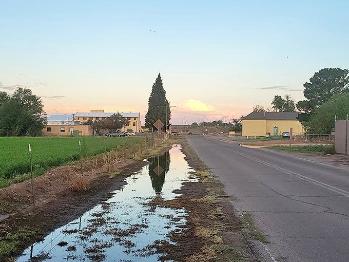 There’s something quietly poetic about a rural road after rain — the world pauses, just long enough to admire itself.