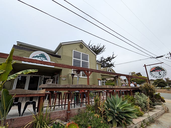 This Los Osos café looks like the perfect spot to sip something warm while watching the fog dance. The plants are practically waving hello.