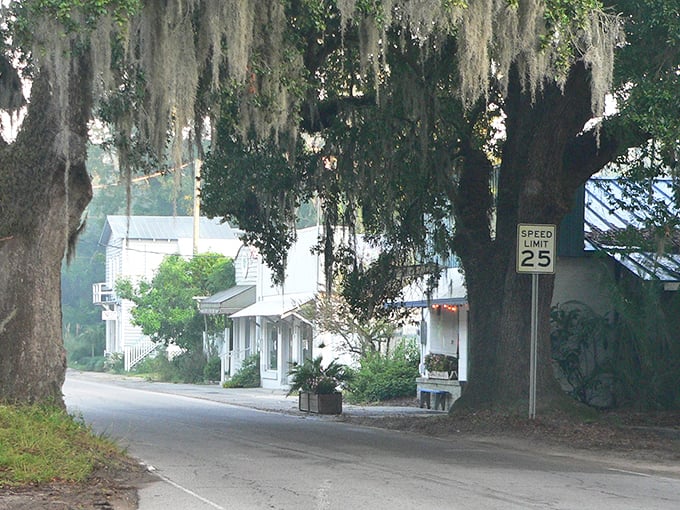 Oak trees create a natural canopy over McClellanville's quiet streets. The 25 mph speed limit seems almost unnecessary—who would rush through paradise?